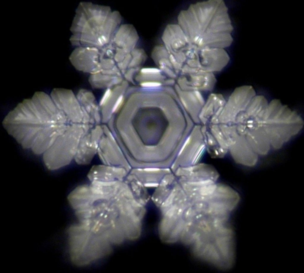 Living Water Vortexer - Watermatters